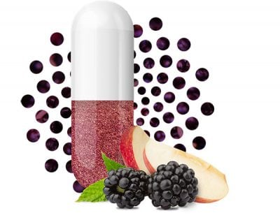 BerriQi® Boysenberry Extract Concentrate / Powder Supplement for Lung ...